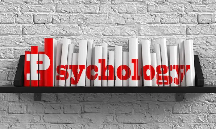 Top Psychology Schools in the USA