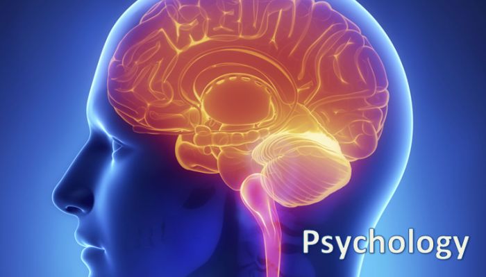 Top Schools for Psychology Graduate Programs