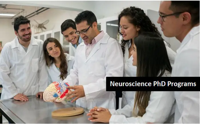 Neuroscience Admissions, Courses and Scholarships - 2022 HelpToStudy ...