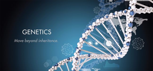 Best Colleges for Genetics 2018-2019 - 2022 HelpToStudy.com 2023