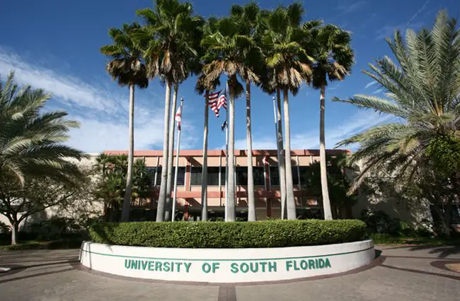 Florida Engineering Society