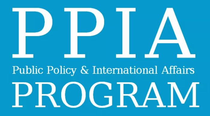 PPIA Fellowship for International Students - 2022 HelpToStudy.com 2023