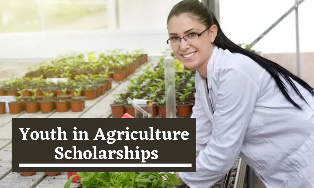 Youth in Agriculture Scholarships – 2021 HelpToStudy.com 2022