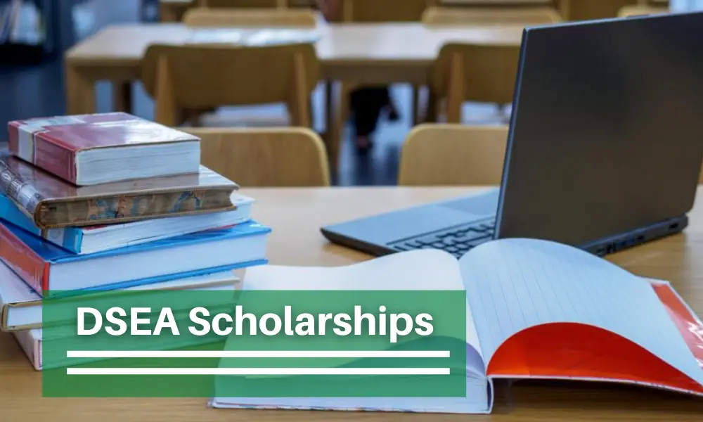 DSEA Scholarships for Graduate students