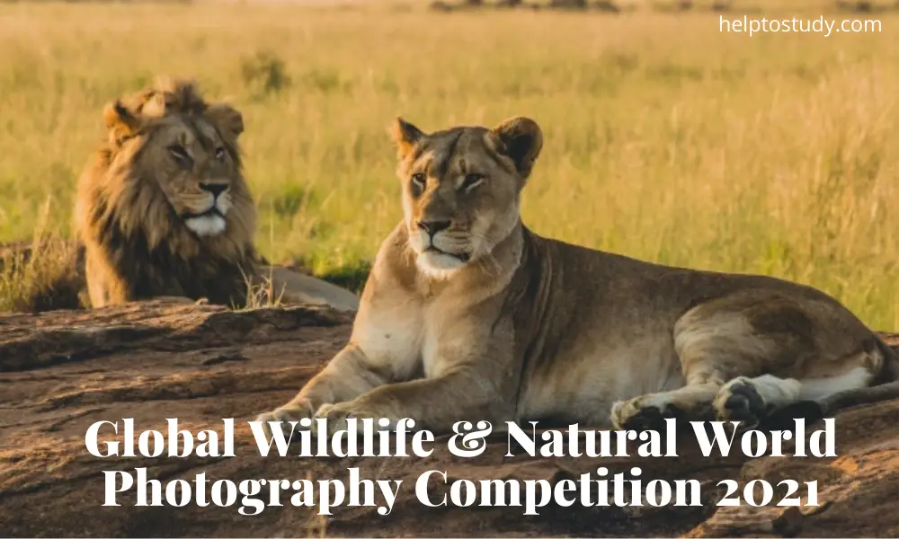 Global Wildlife & Natural World Photography Competition 2021