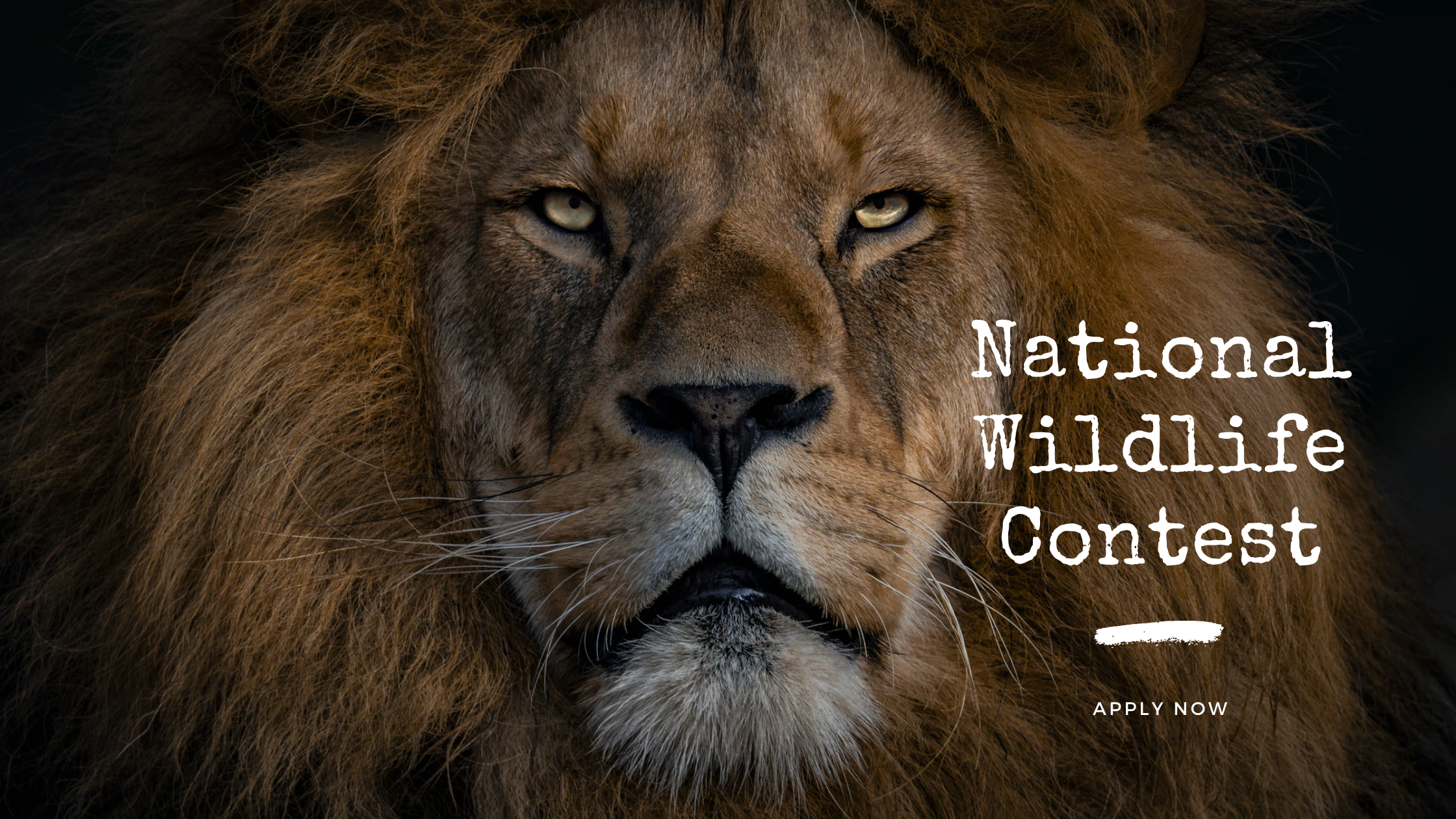 National Wildlife Photo Contest 2021