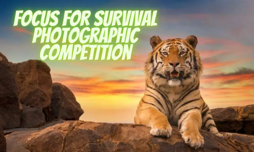 Focus for Survival Photographic Competition