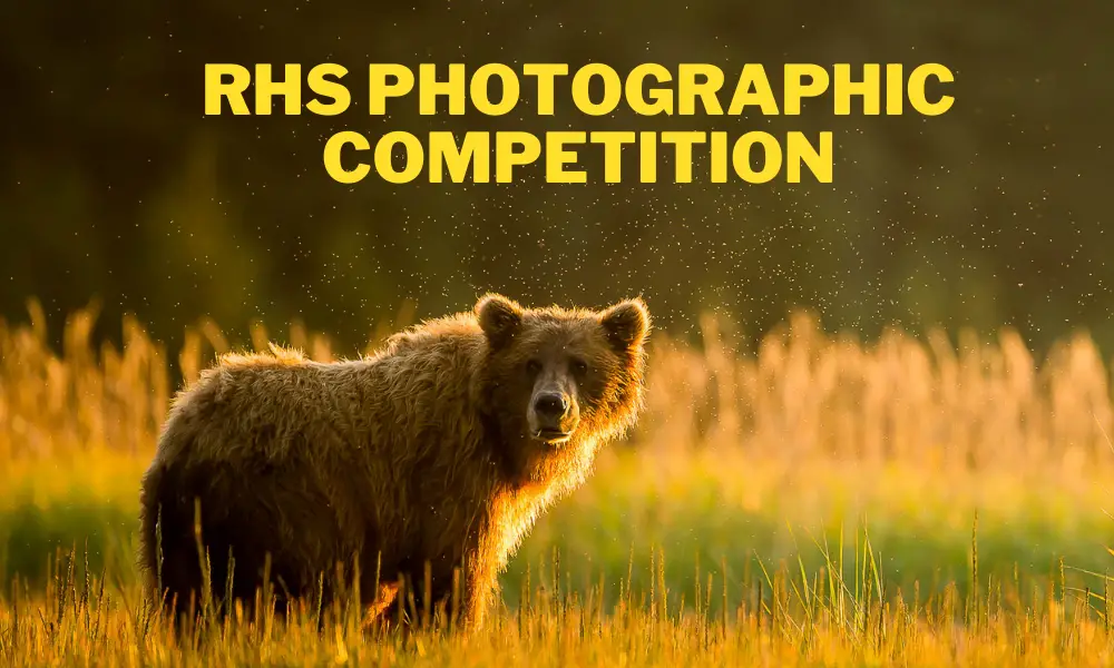 RHS Photographic Competition