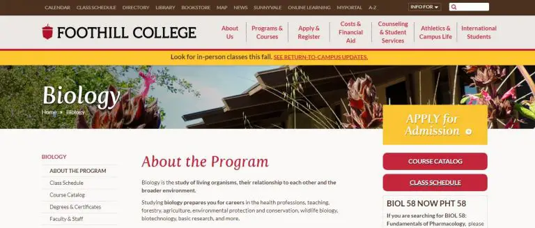 Best Community College Courses