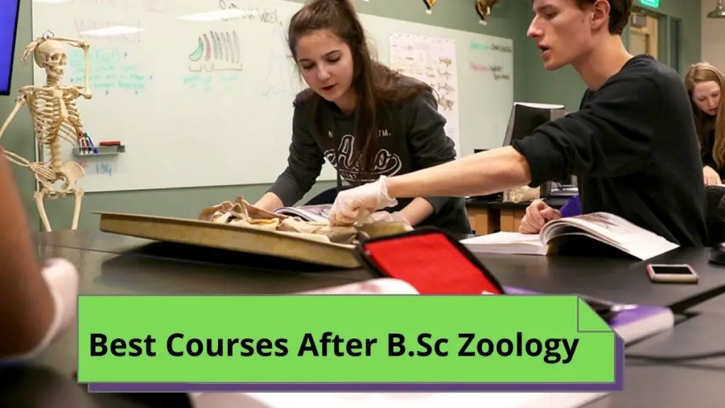 Degree Programs Admissions, Courses and Scholarships - 2022 HelpToStudy ...