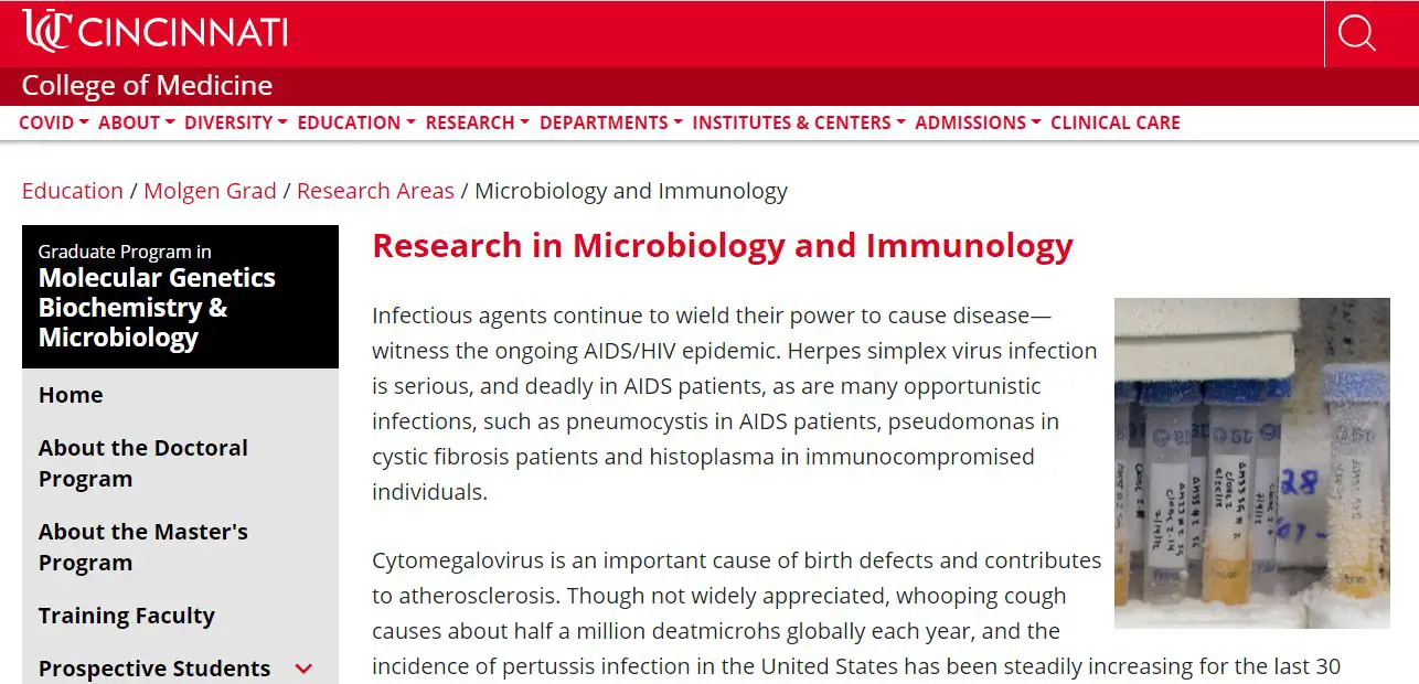 Which are the Best Courses after BSc Microbiology