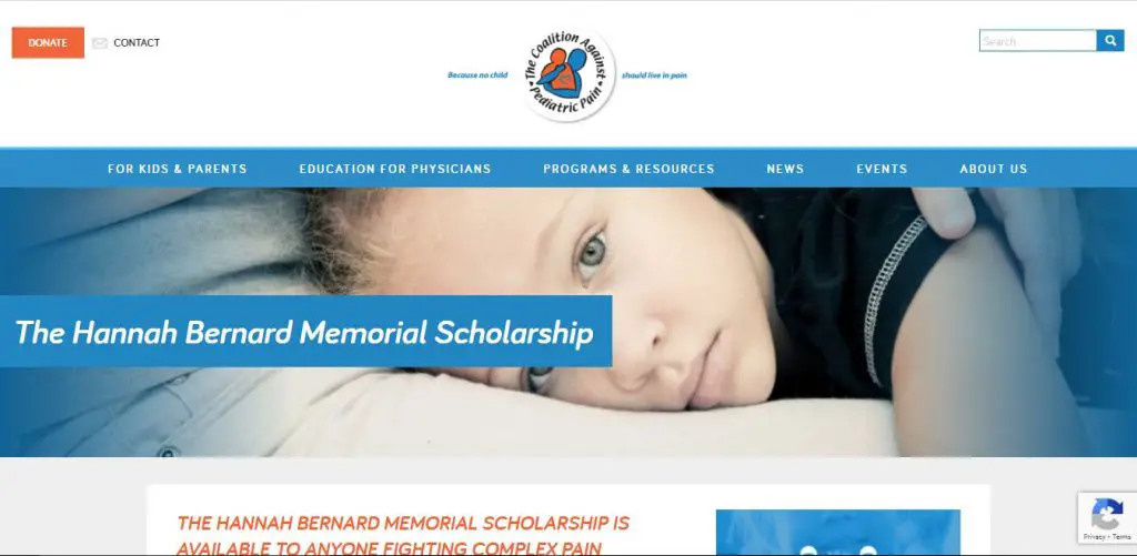 Best Scholarships for Lupus